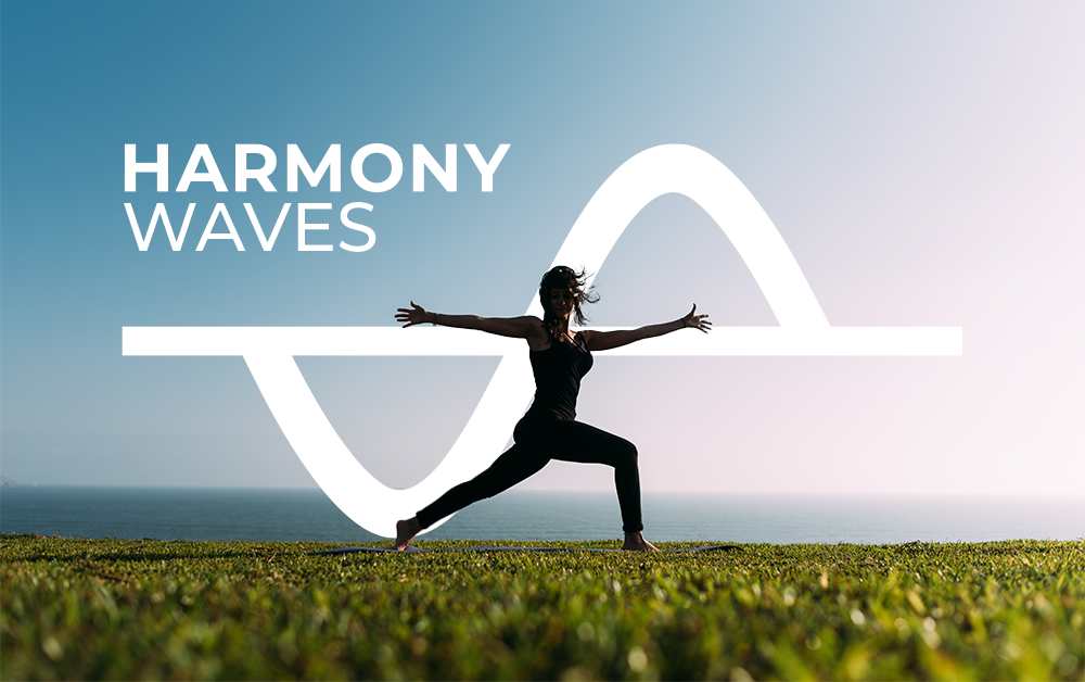 Lieferung und Versand - Deutschland | Österreich | Schweiz – HARMONY WAVES